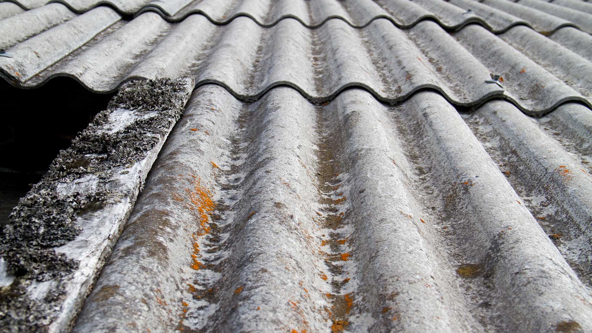 Op zoek naar een asbestsanering specialist? - Bross BV